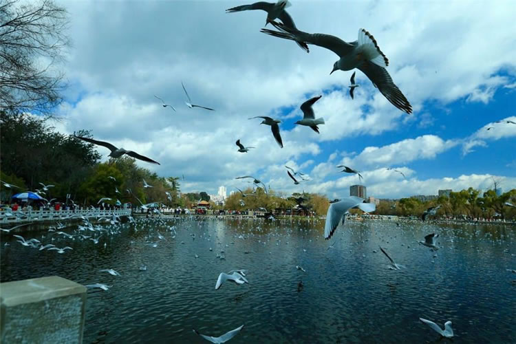 Top Kunming Tours: 3 Days Kunming Spring City Travel | How to Spend 3 ...