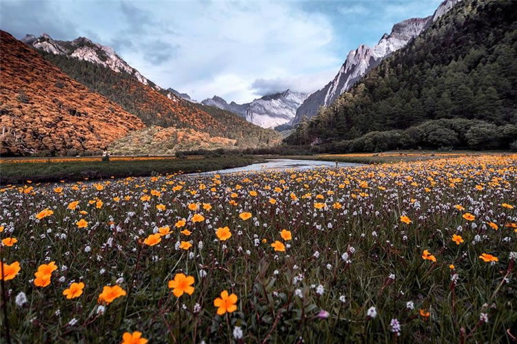 The Best Western Sichuan Tour Pacakge: Spend 6 Days to Visit Daocheng ...