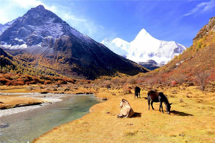 The Best Western Sichuan Tour Pacakge: Spend 6 Days to Visit Daocheng ...