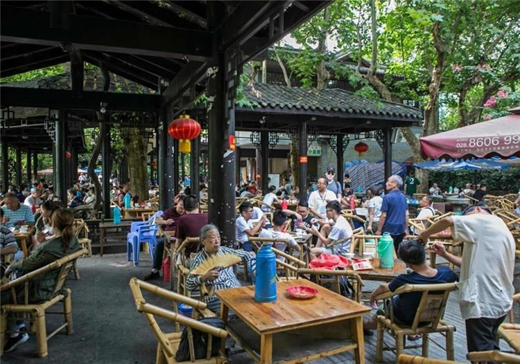 3-Day Chengdu Panda Tour with City Sightseeing & Volunteering