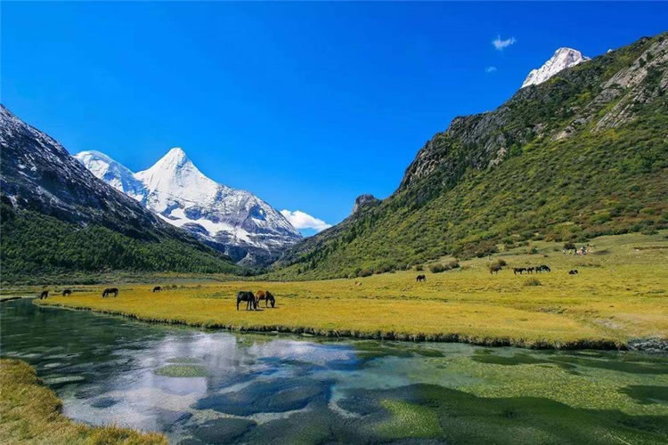Sichuan Chengdu Tour to Daocheng Yading | Weekend Trips from Chengdu