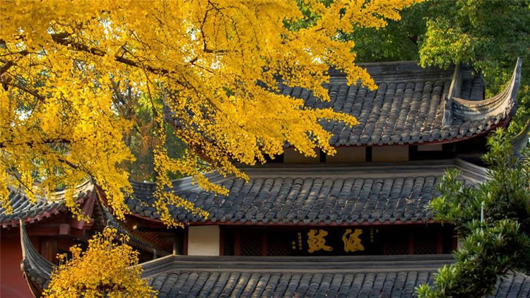 2 Days Chengdu Tour Package with Panda Base Visiting-Best Way to Spend ...