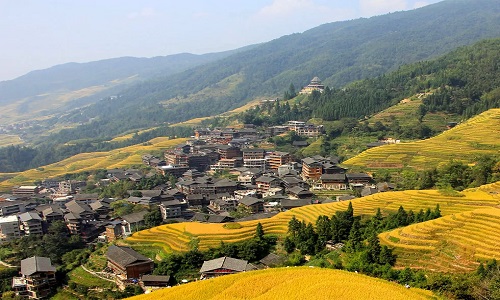 Guided Hiking Tour of Longji Rice Terraces from Guilin
