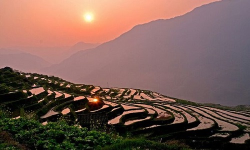 Guided Hiking Tour of Longji Rice Terraces from Guilin