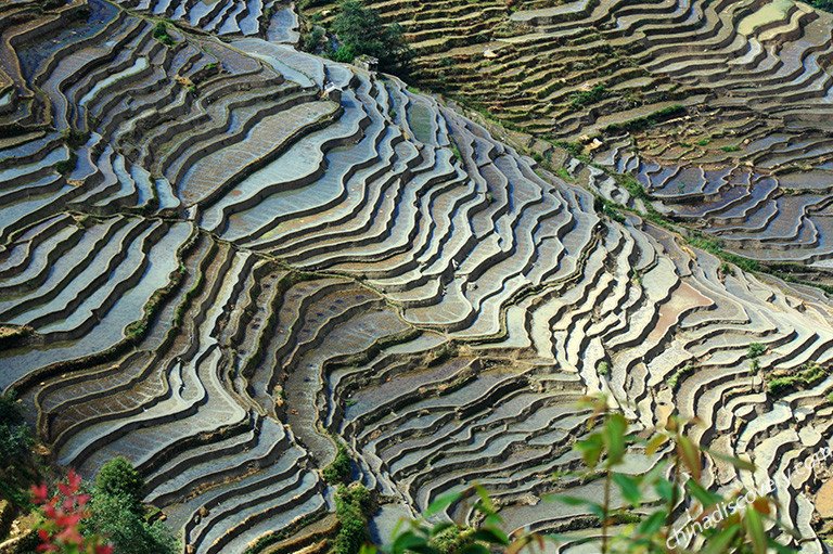 Yunnan Tour Package: Yuanyang Rice Terraces & Ancient Towns